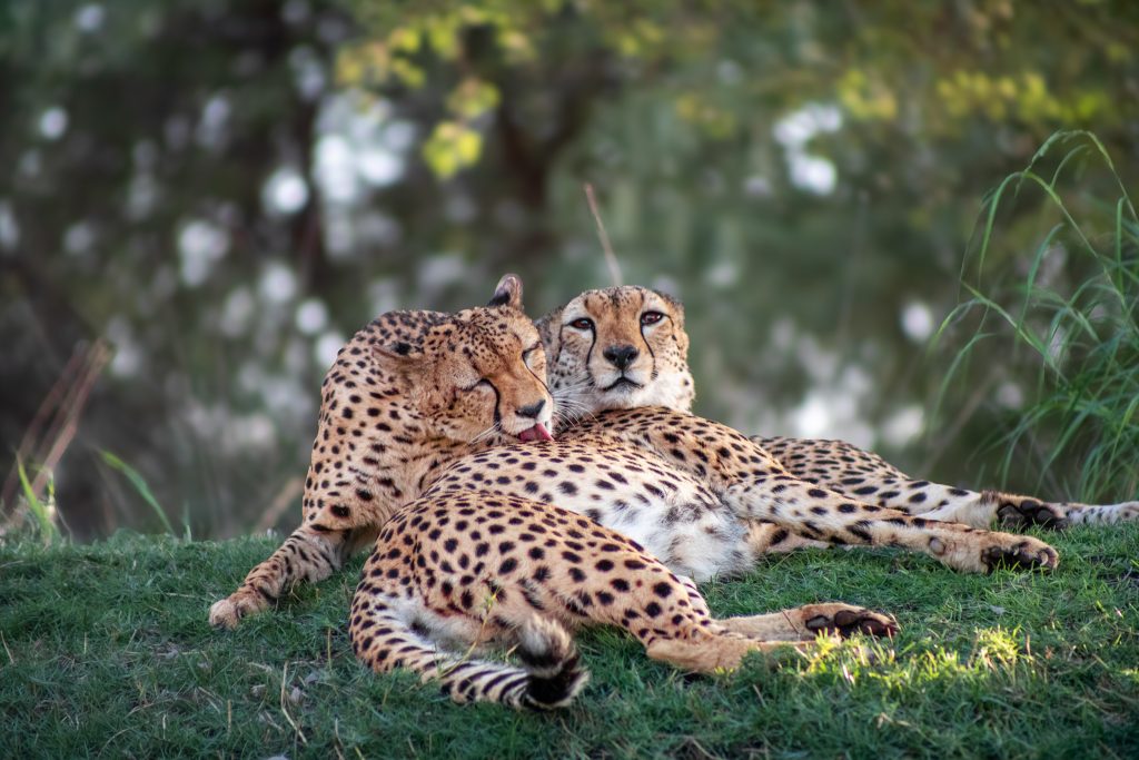 The Power Of Eye Contact – Xposure International Photography Awards