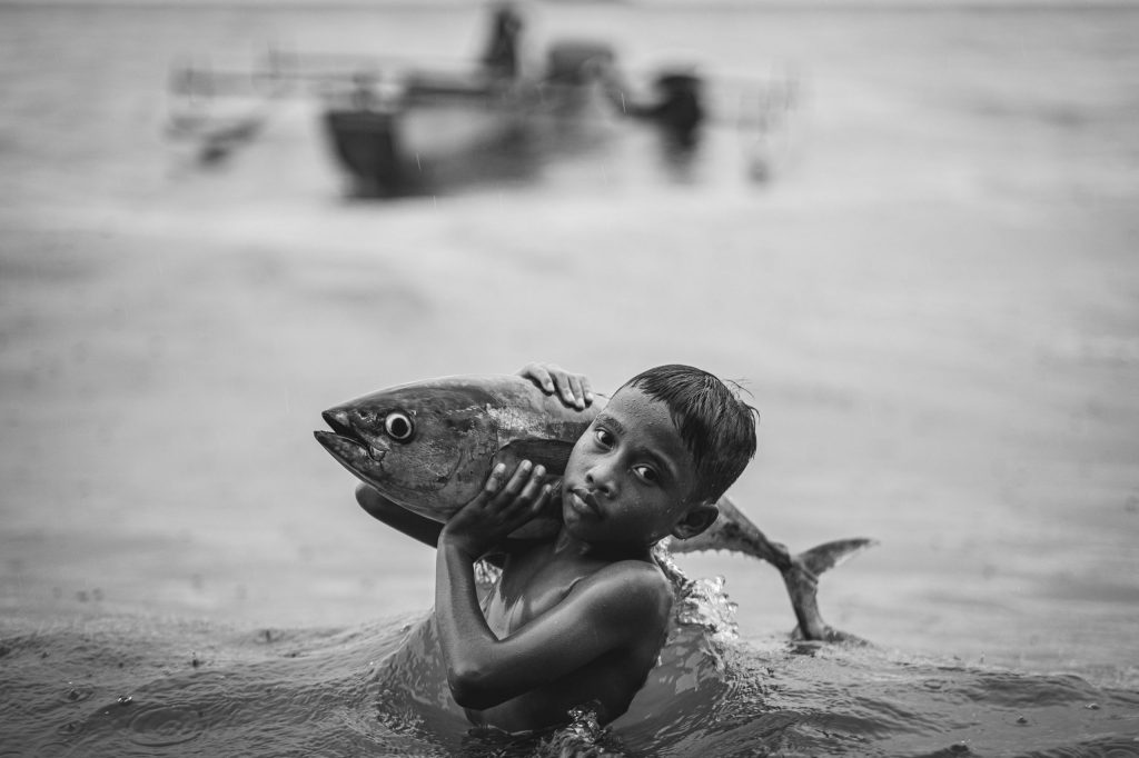 Lifting Tuna Fish - Xposure International Photography Awards