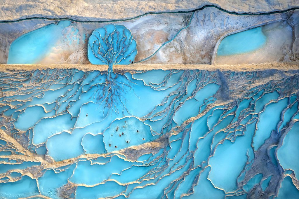 Veins Of Nature - Xposure International Photography Awards